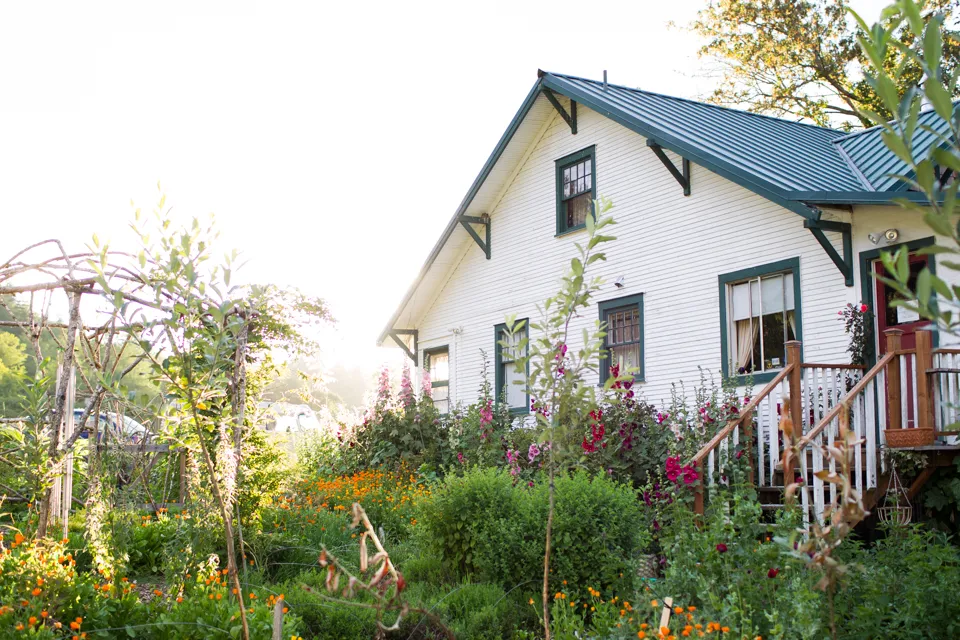 More Land Photos – Compass Rose Farms